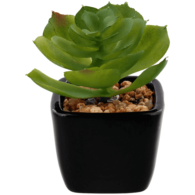 Kunstplanten en -bloemen die net zo mooi zijn als echt